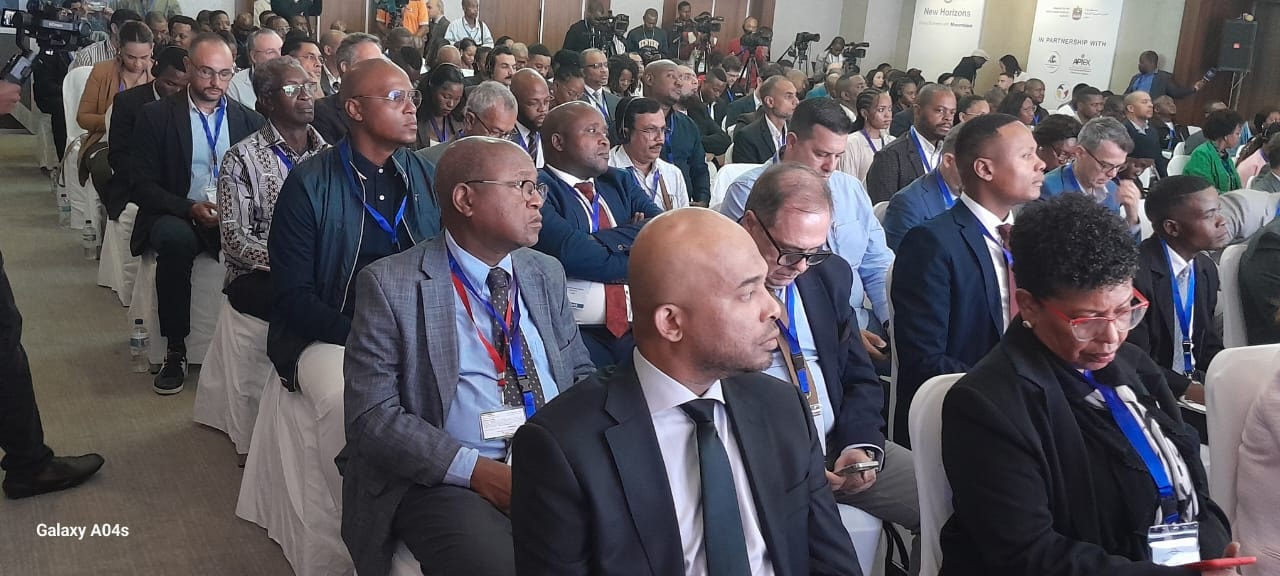 Maputo tenta seduzir investidores árabes para sectores estratégicos ...
